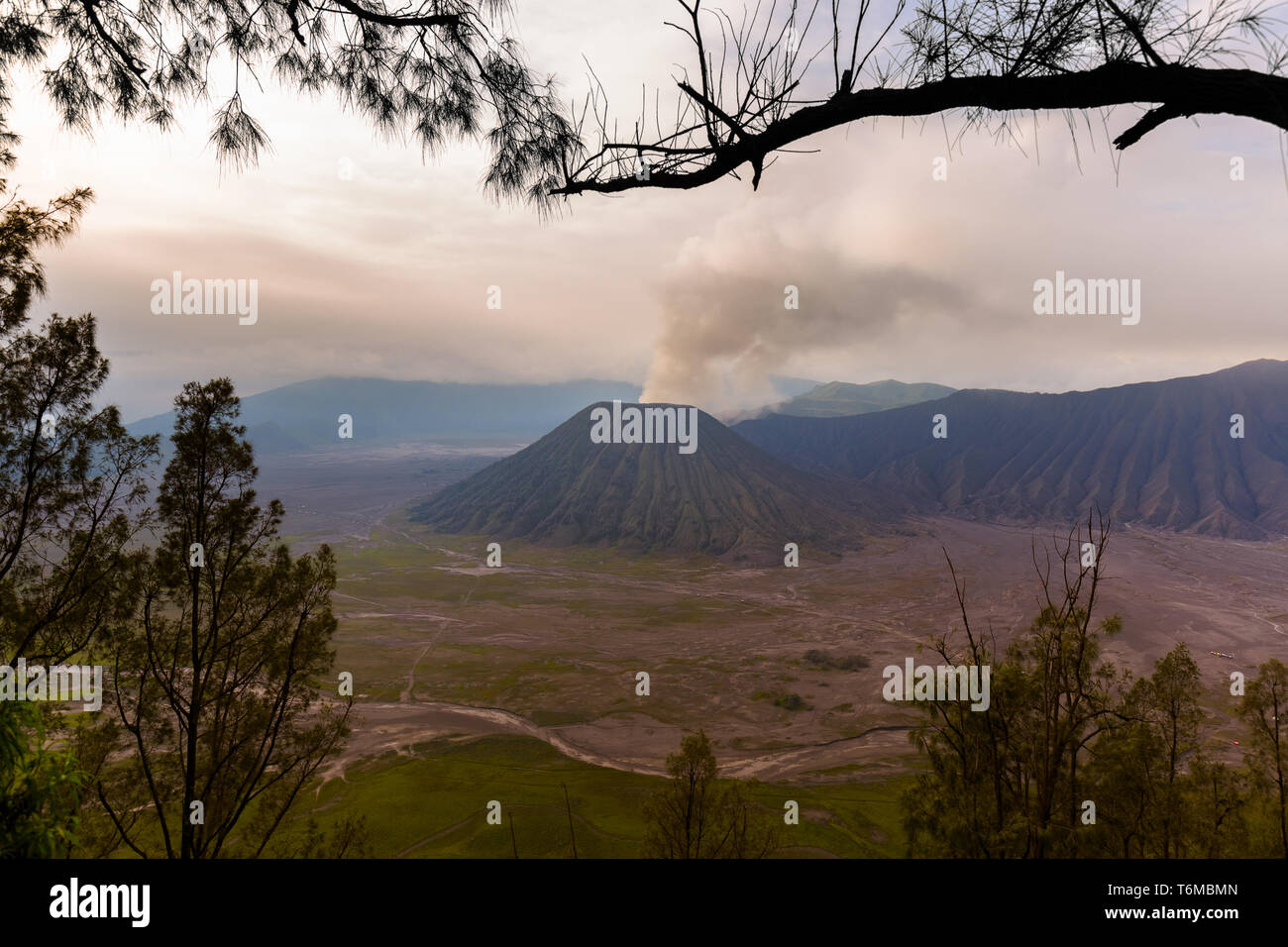 Java w hi-res stock photography and images - Alamy