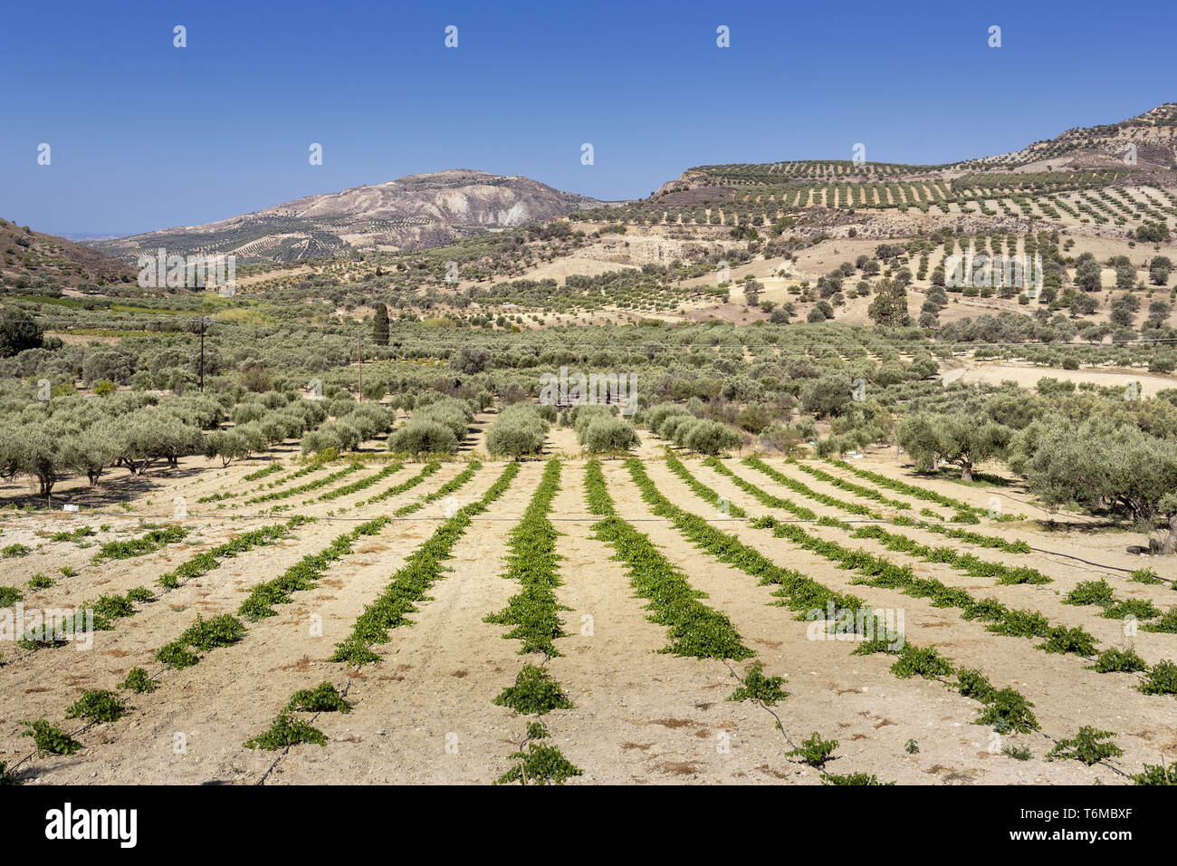 Beautiful Crete Landscape, Greece Stock Photo - Alamy