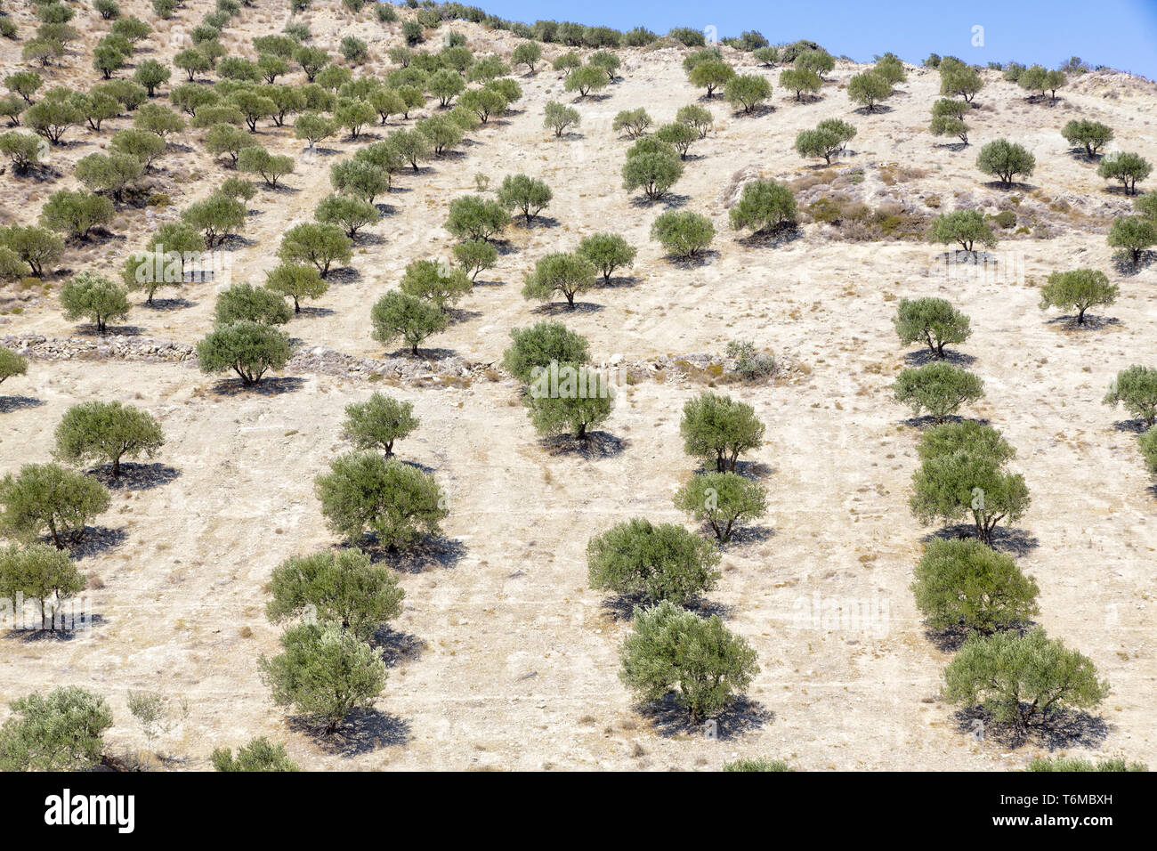 Beautiful Crete Landscape, Greece Stock Photo - Alamy