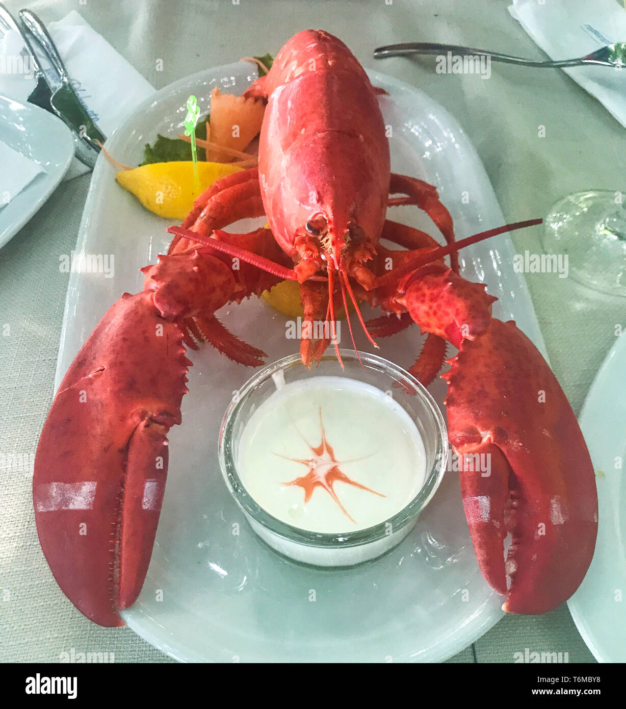 Close up of fresh steamed lobster Stock Photo - Alamy