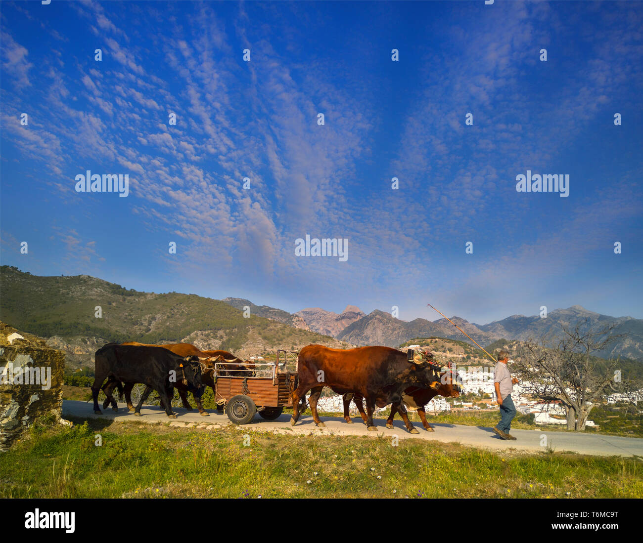 Andalucia and countryside hi-res stock photography and images - Alamy