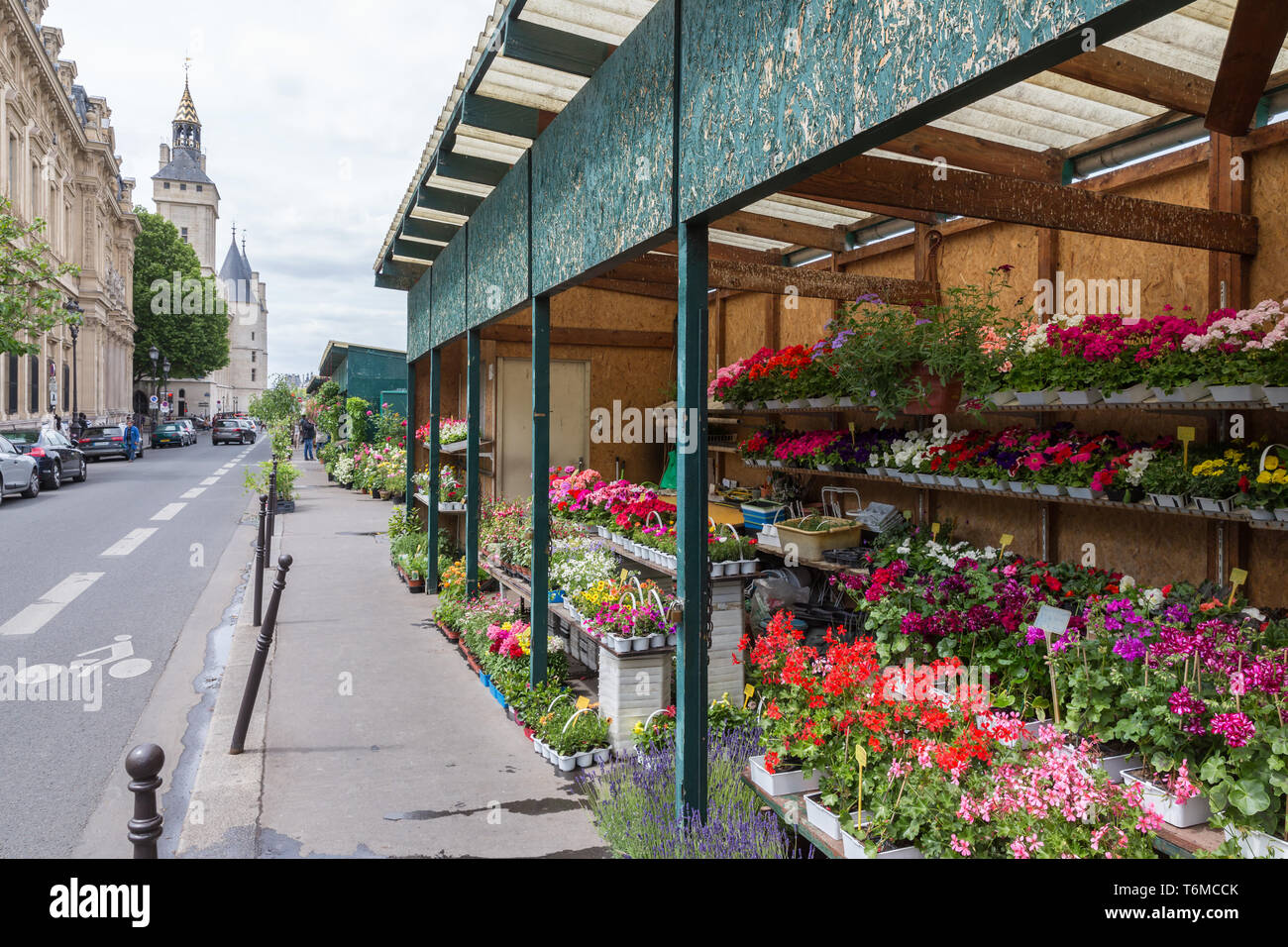 Flower stall along Seine river in Paris Stock Photo - Alamy