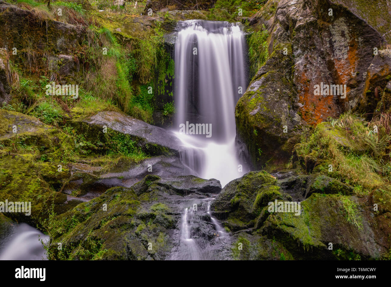 Triberg waterfalls in the Black Forest Stock Photo - Alamy