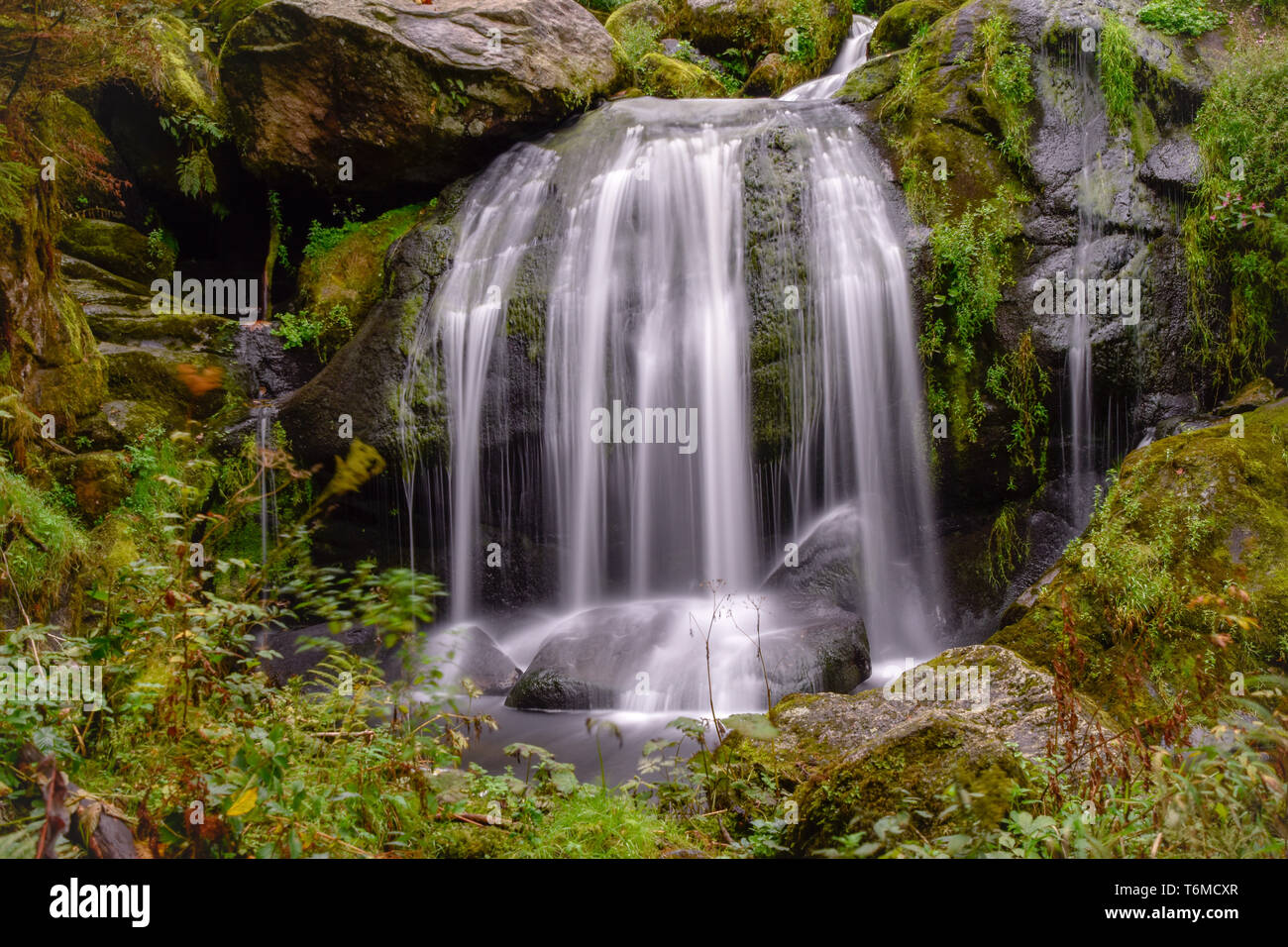 Triberg waterfalls in the Black Forest Stock Photo - Alamy