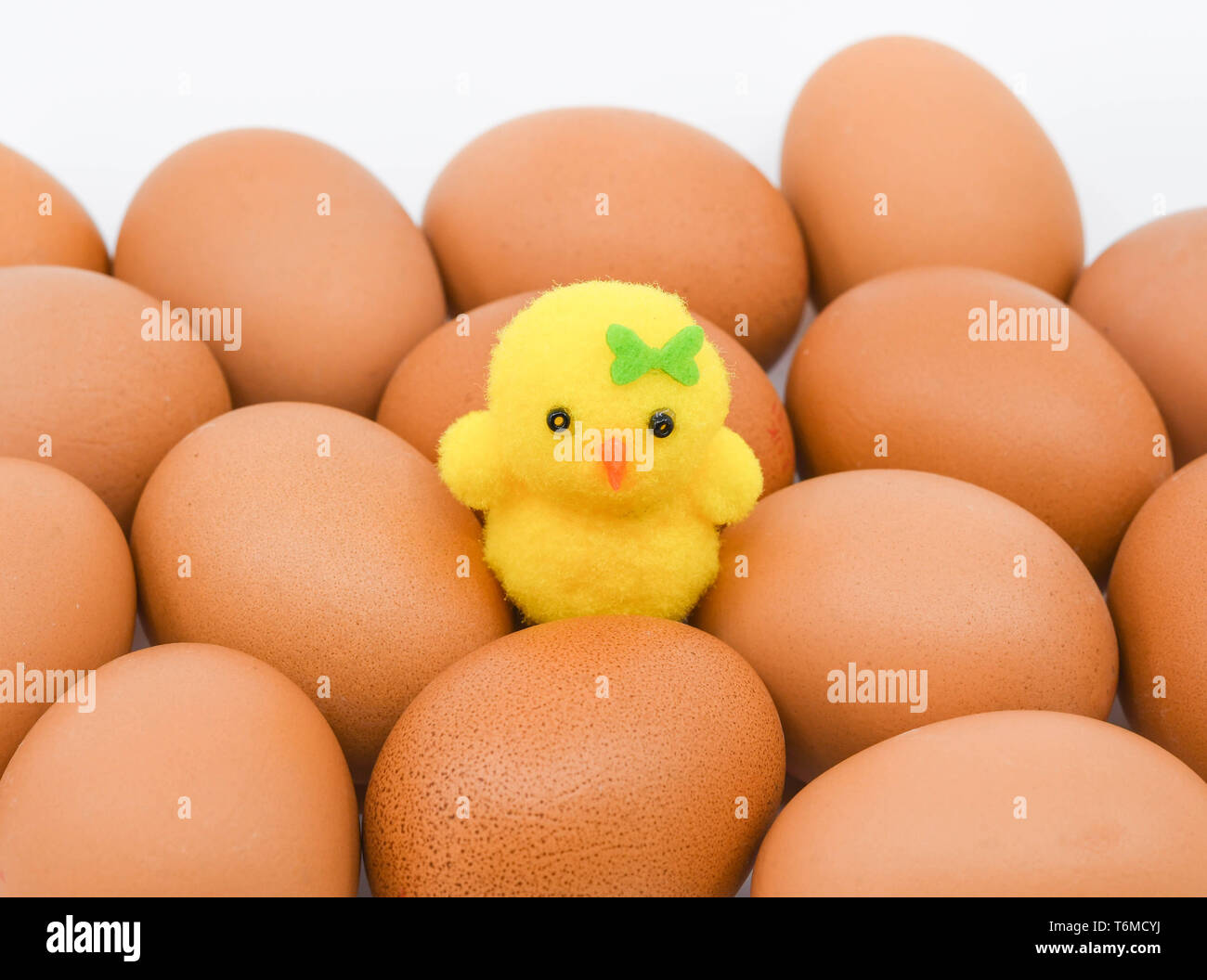 Close up of a yellow chick made of foam sitting among a clutch of fresh ...