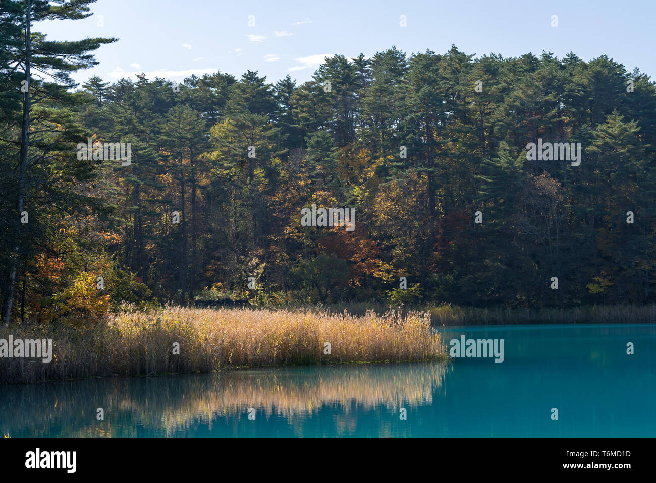 Goshiki-numa Urabandai Fukushima Autumn Japan Stock Photo - Alamy