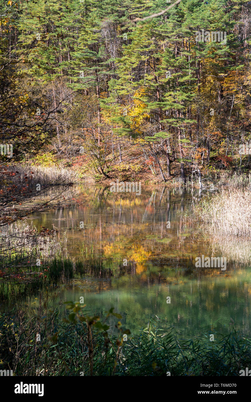 Goshiki-numa Urabandai Fukushima Autumn Japan Stock Photo - Alamy