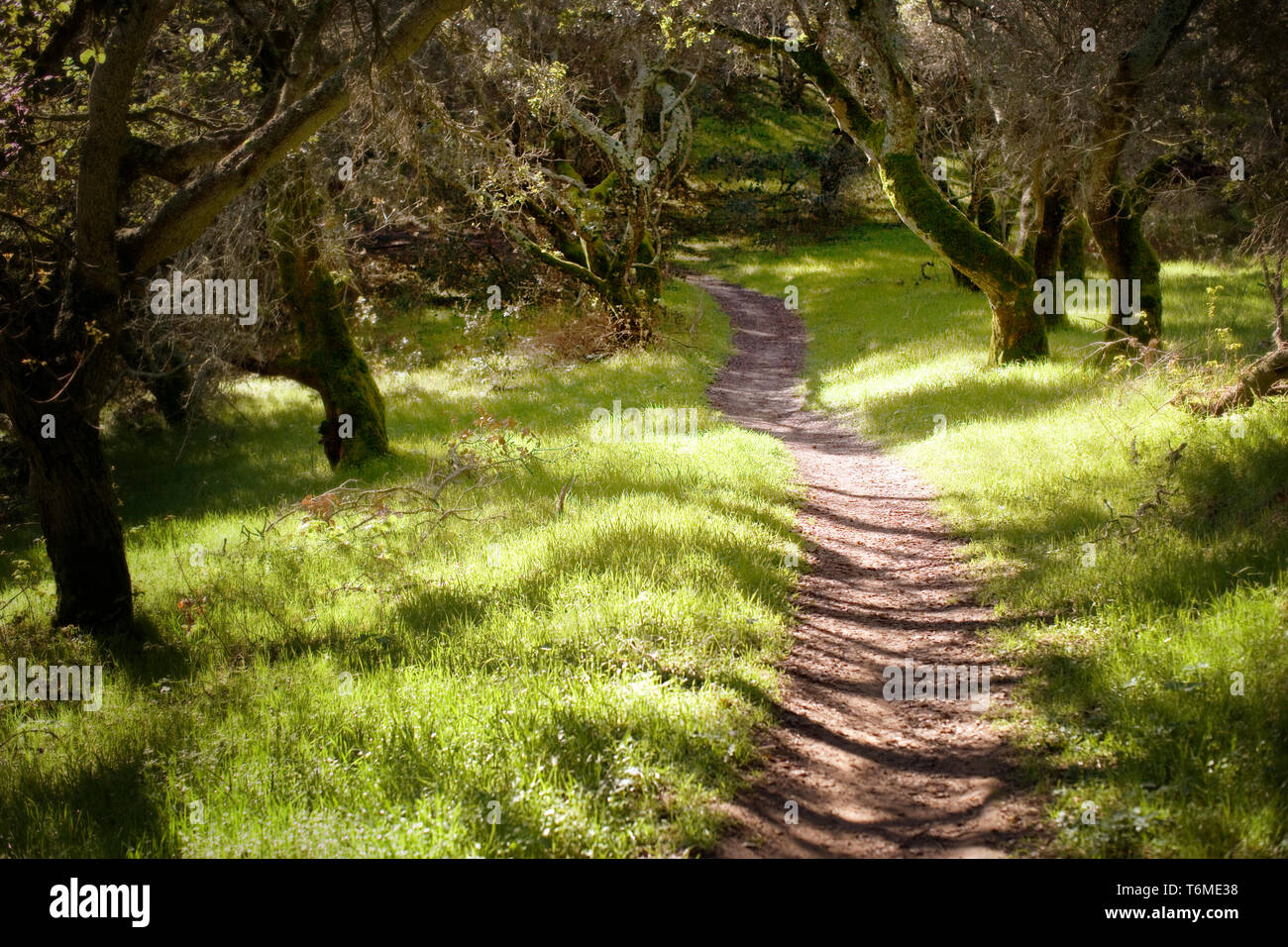 Dirt walkways hi-res stock photography and images - Alamy