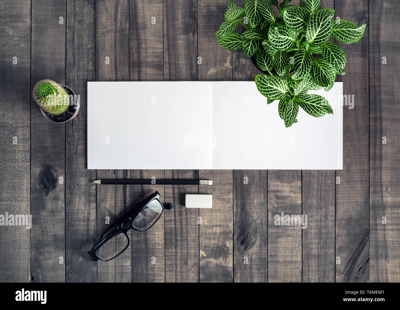 Catalogue template hi-res stock photography and images - Alamy