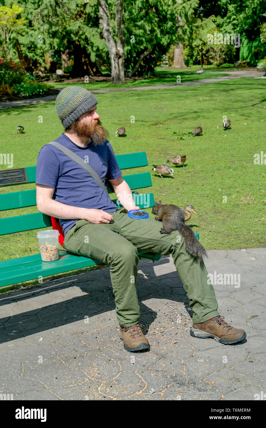 Squirrel on bench hi-res stock photography and images - Alamy