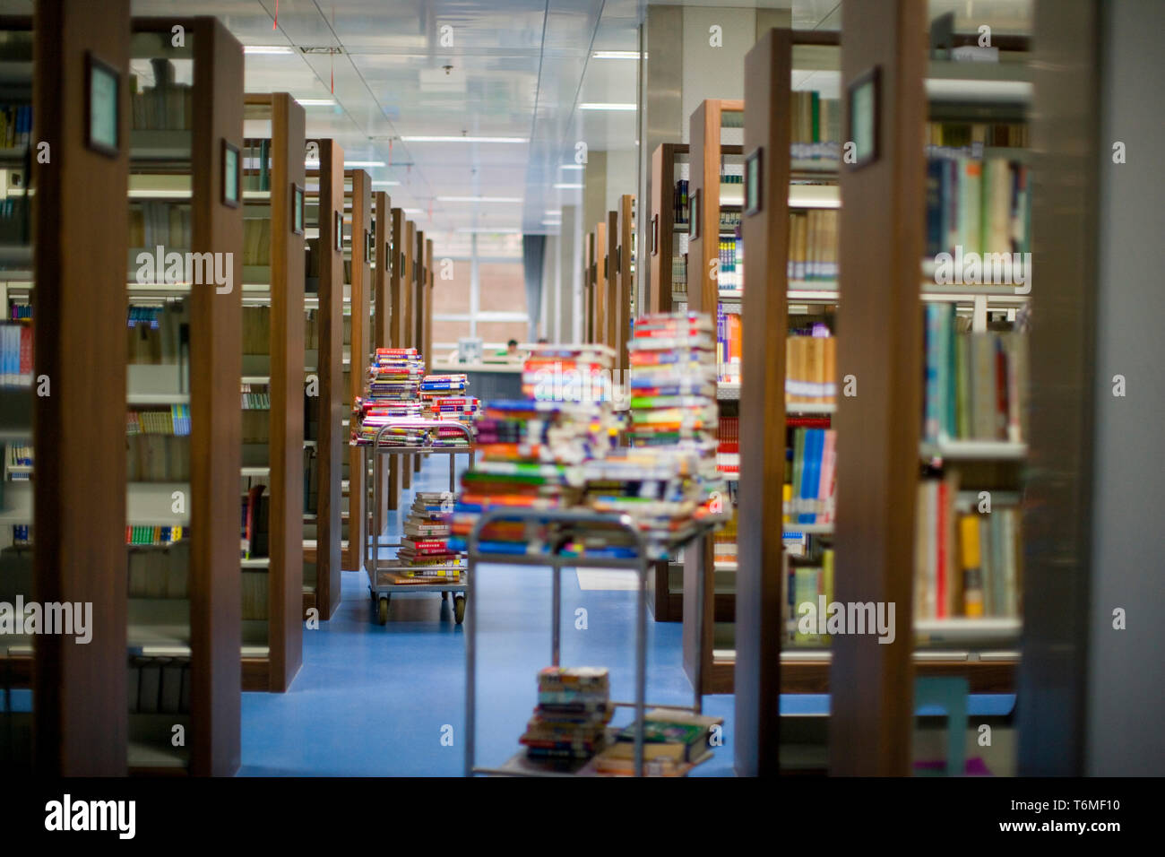 Books to be stacked in a library Stock Photo - Alamy