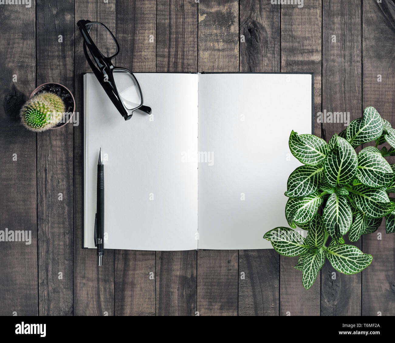 Open book with plant and stationery hi-res stock photography and images ...