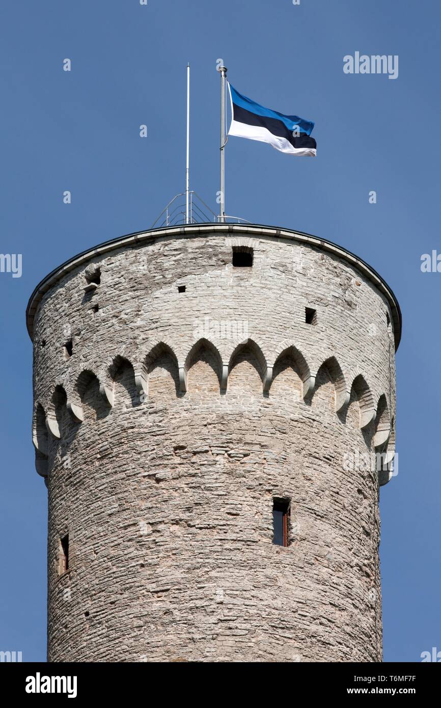 Tall Hermann tower in Tallinn Stock Photo - Alamy