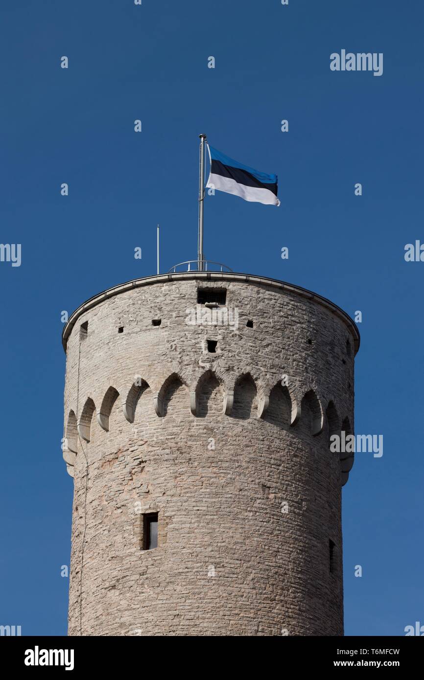 Tallinn flag hi-res stock photography and images - Alamy
