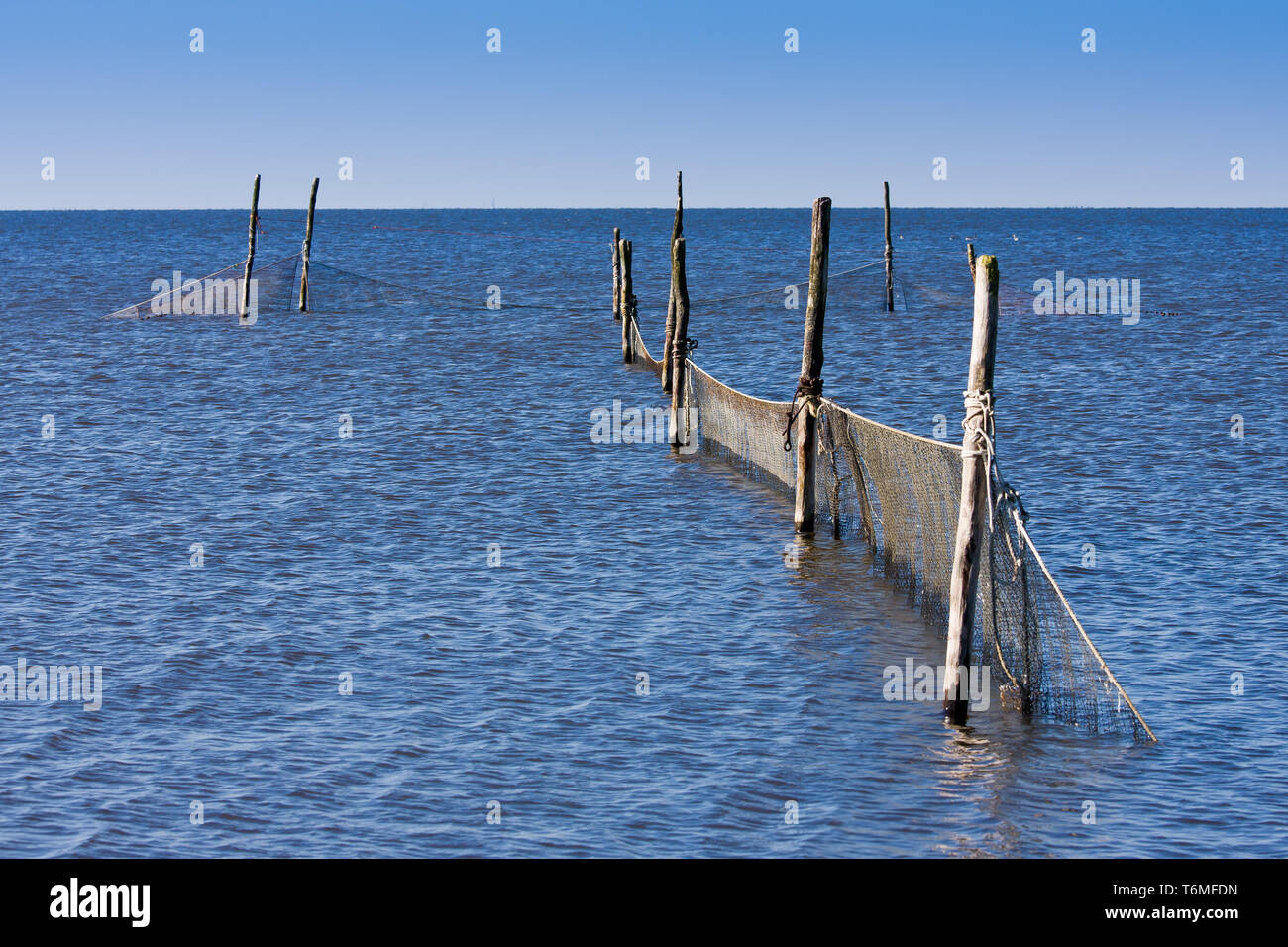 Fishnet detail hi-res stock photography and images - Alamy