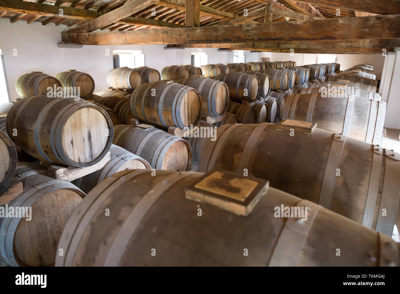 Winemaking history hi-res stock photography and images - Alamy