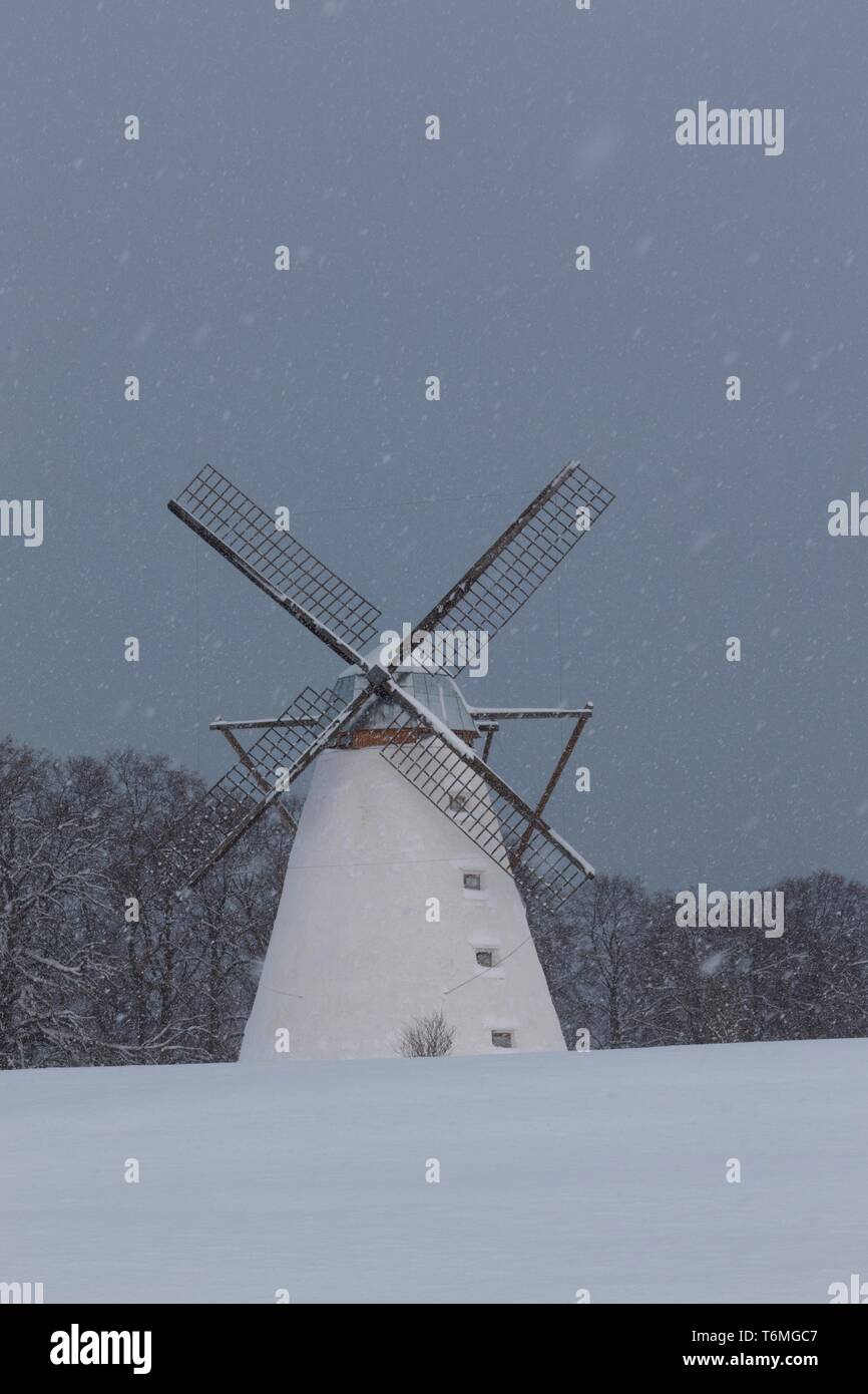 Windmill in Vihula manor Stock Photo - Alamy