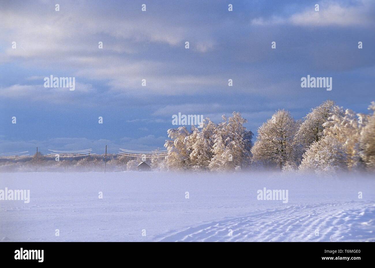 A Misty Field in Winter Stock Photo - Alamy