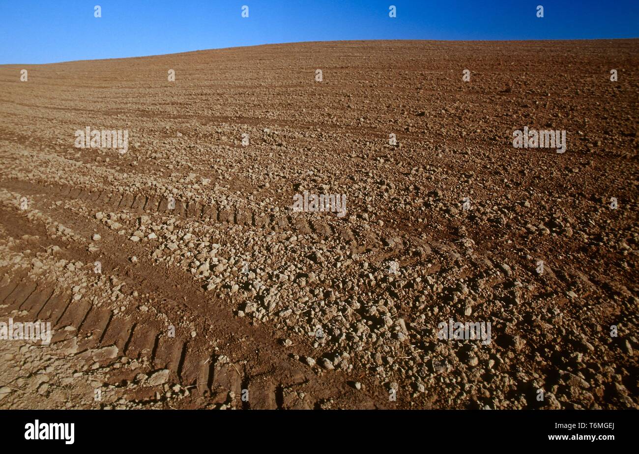 Field balk hi-res stock photography and images - Alamy