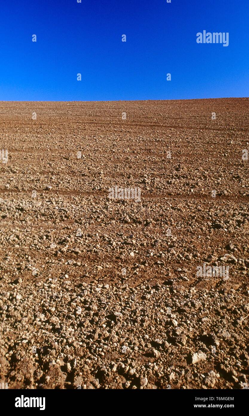 Field balk hi-res stock photography and images - Alamy