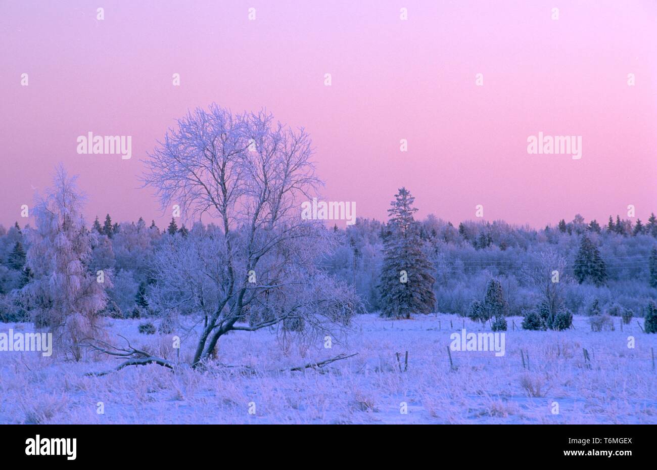 Snowy nature view hi-res stock photography and images - Alamy