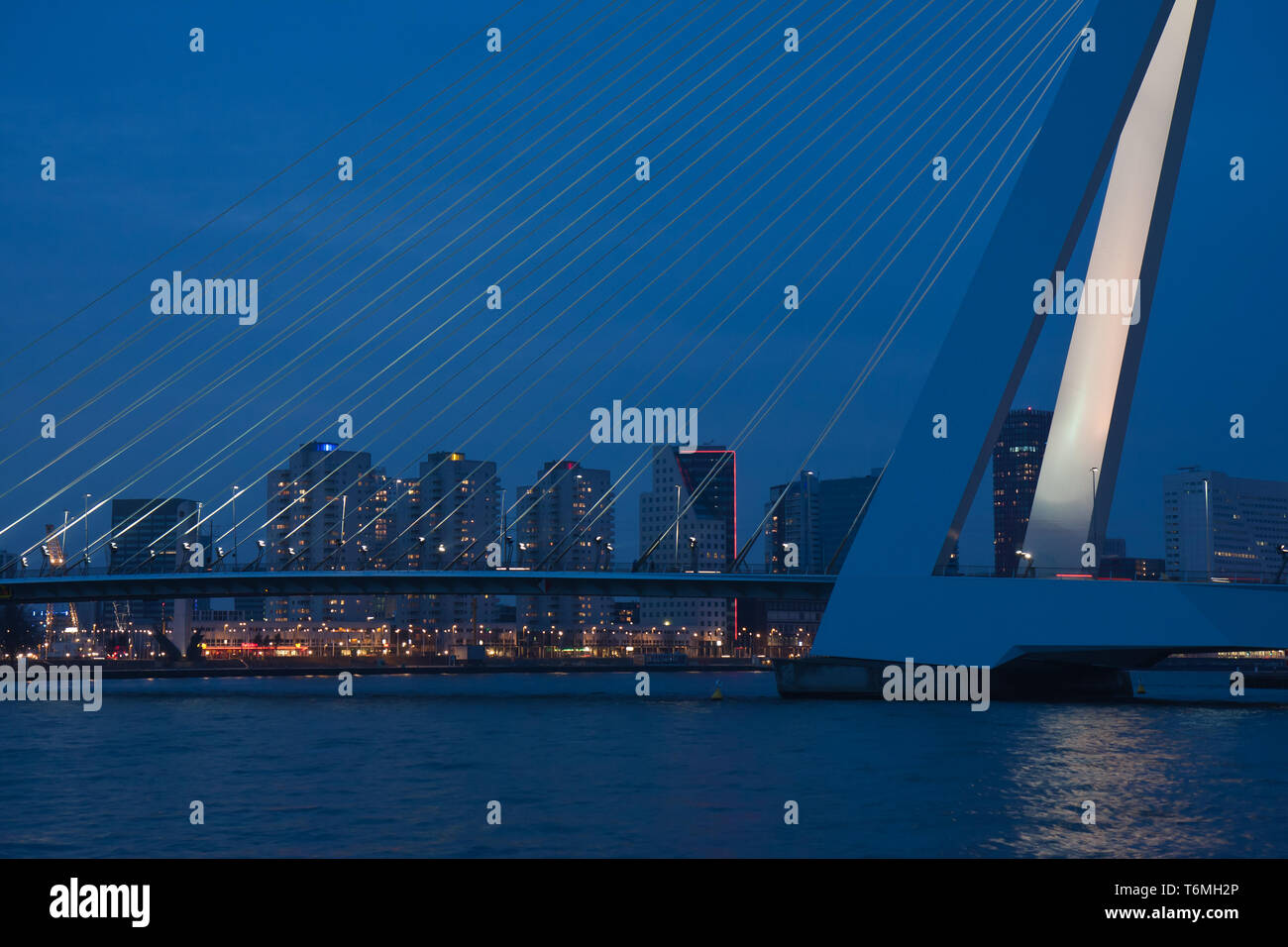 Erasmusbridge of Rotterdam at Night, the Netherlands Stock Photo - Alamy