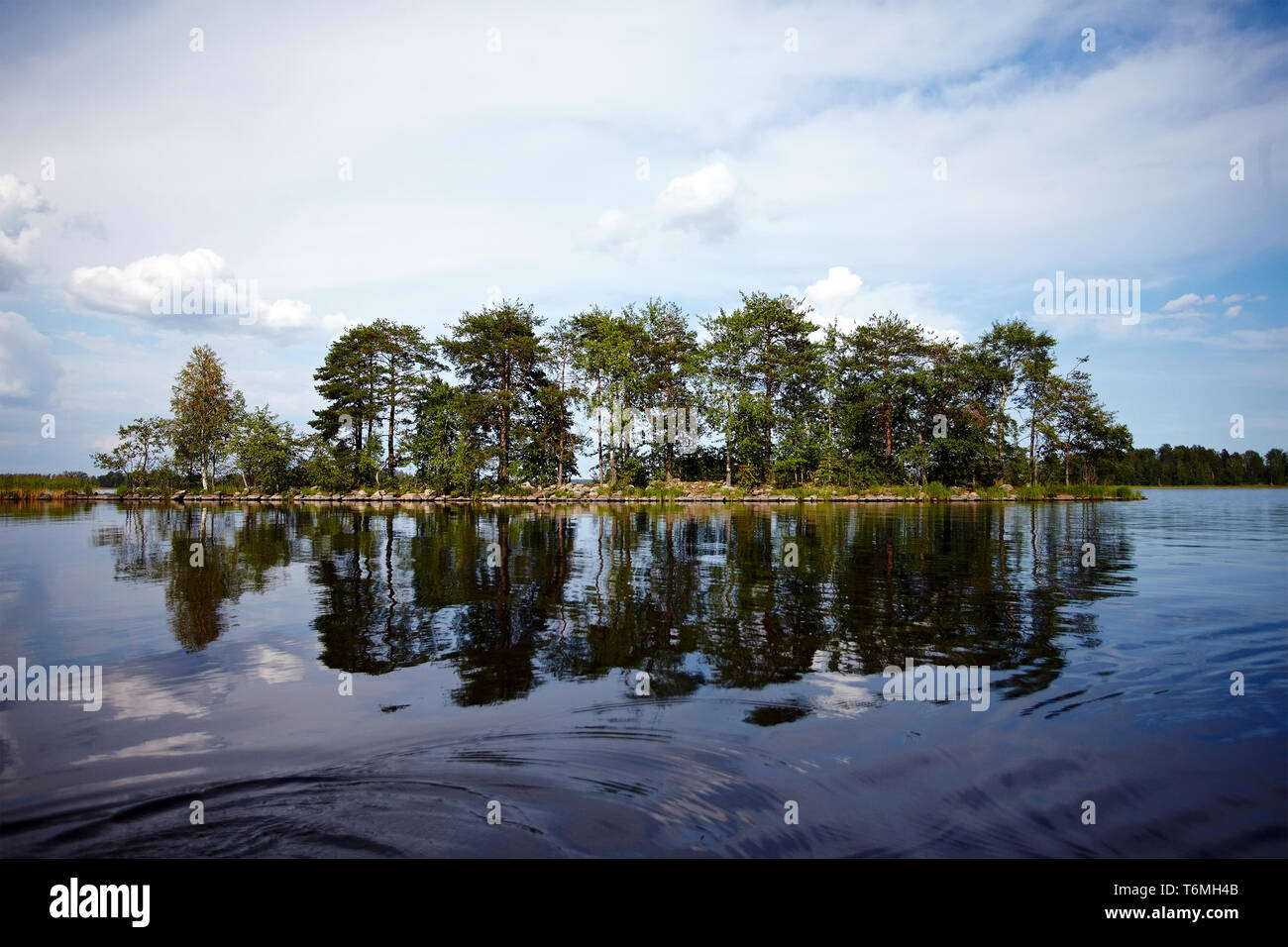 Water landscape. The lake. Beautiful landscape. Water smooth surface ...