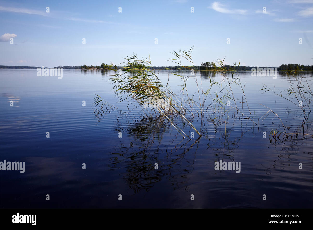 Water landscape. The lake. Beautiful landscape. Water smooth surface ...