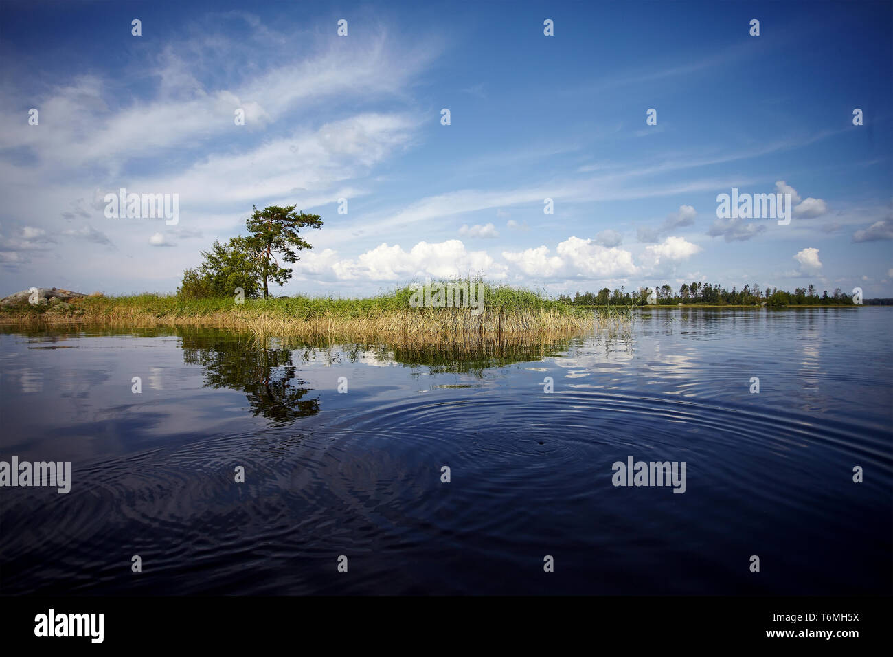 Water landscape. The lake. Beautiful landscape. Water smooth surface ...