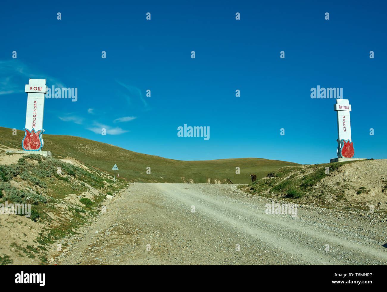 Toguz toro hi-res stock photography and images - Alamy