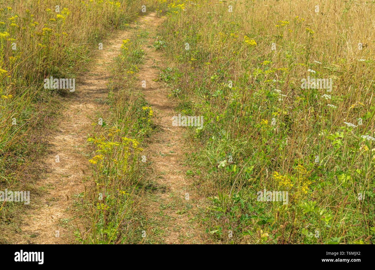 Walking through open bush hi-res stock photography and images - Alamy