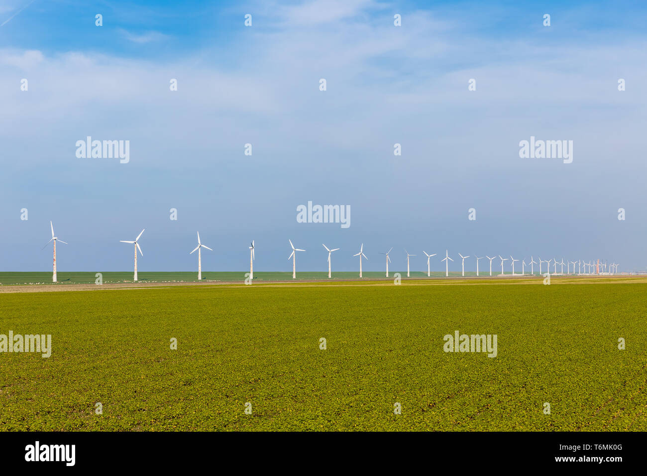 Dutch wind mill in hi-res stock photography and images - Alamy