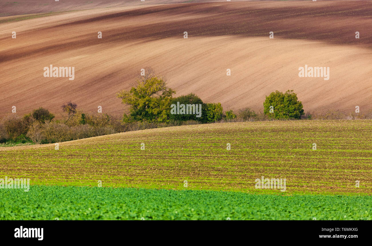 Famous moravian fields - Czech Republic Stock Photo - Alamy