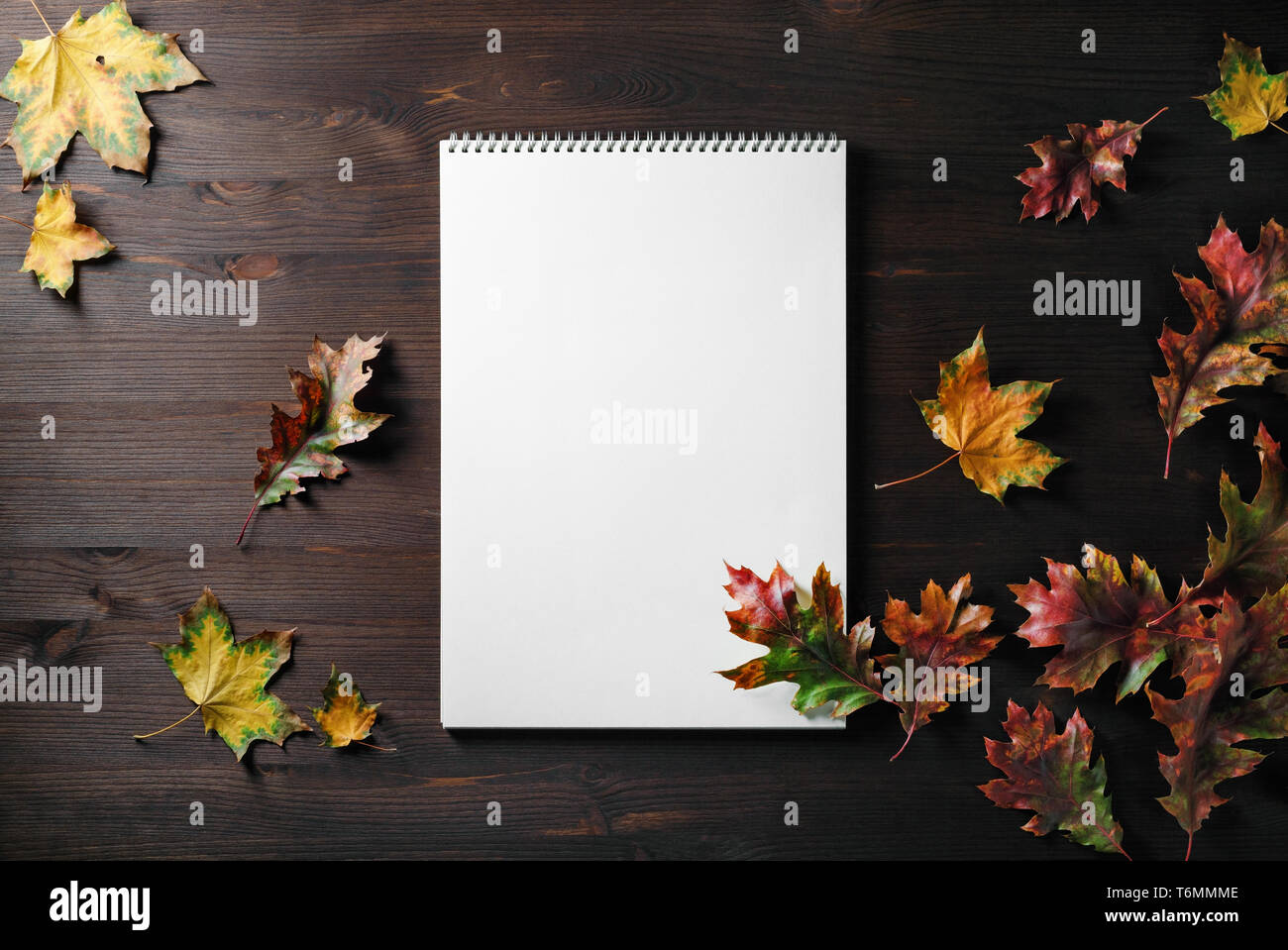 Notepad and leaves Stock Photo - Alamy