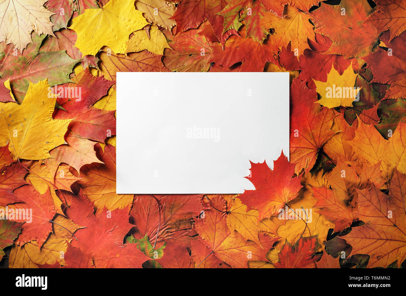 White paper, foliage Stock Photo - Alamy