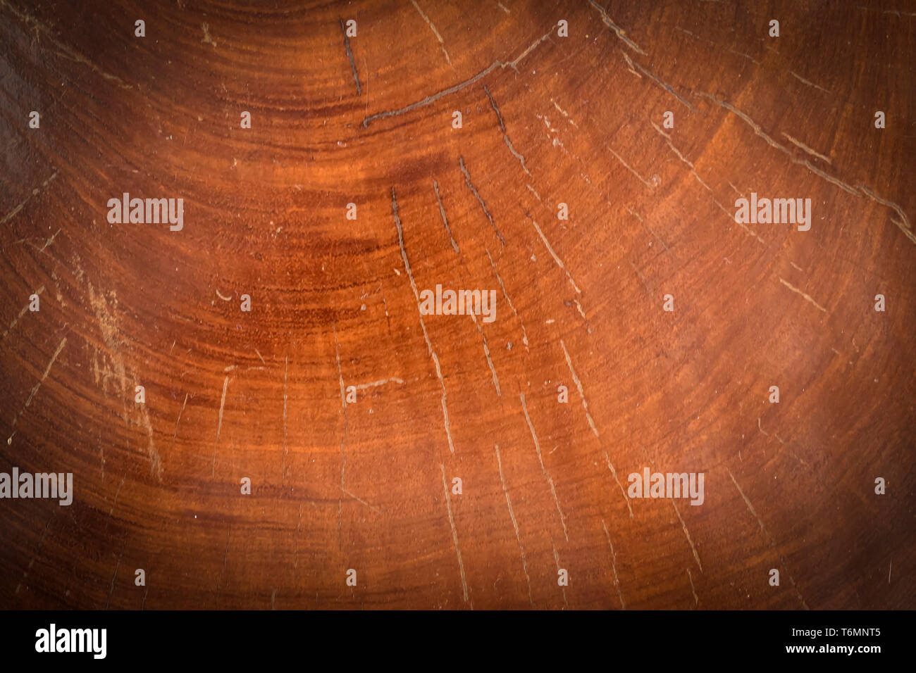 Wood texture of cut tree trunk for background Stock Photo - Alamy