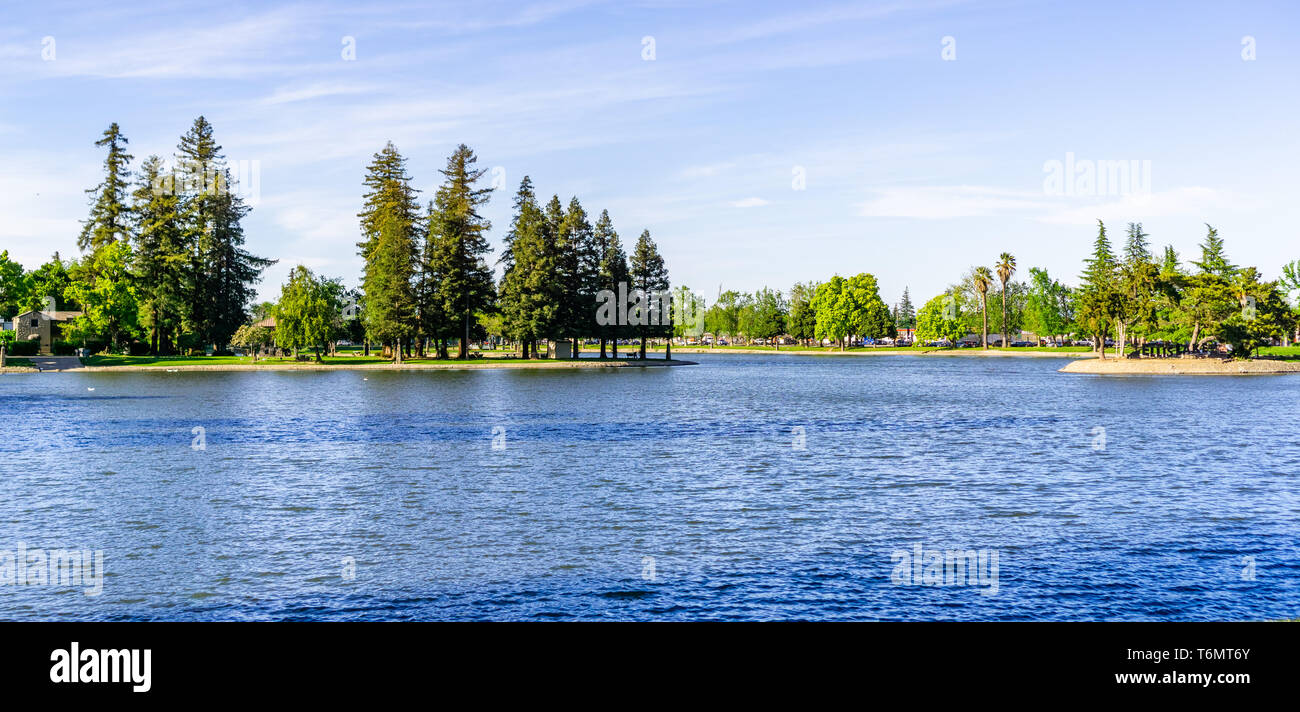Large redwood trees on the shoreline of Lake Ellis, Marysville, Yuba ...