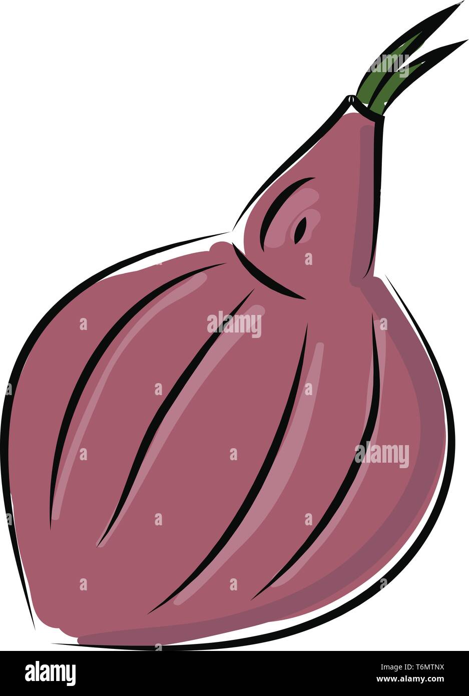 Sketch of a red onion Stock Vector Image & Art - Alamy