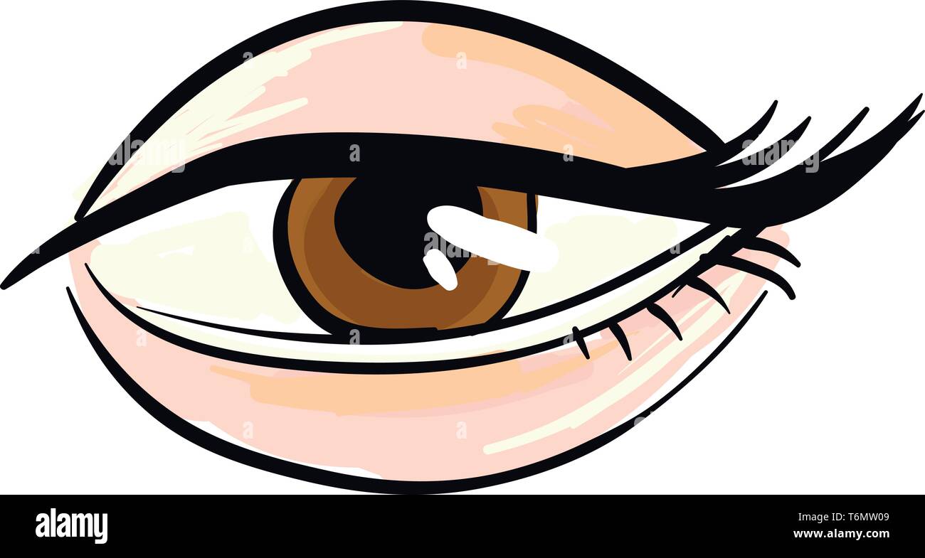 Woman's brown eye White background Stock Vector Image & Art - Alamy