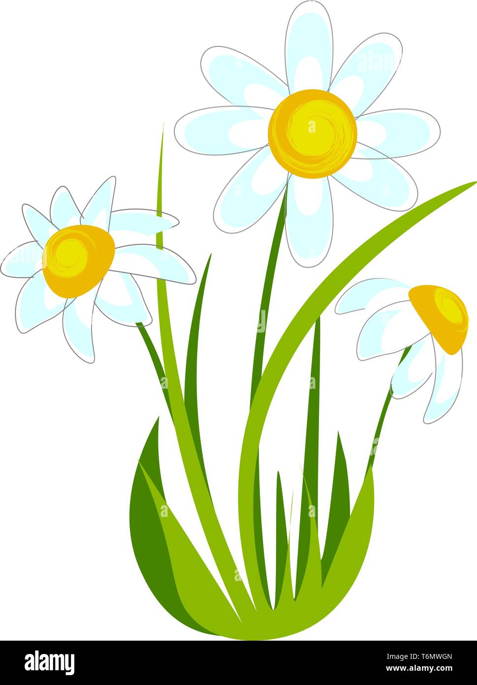 Chamomile flowers simple design hi-res stock photography and images - Alamy