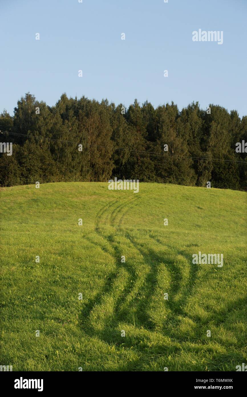 The Dome-shaped Hillocks at Kaika, Karula Nature Reserve Stock Photo ...