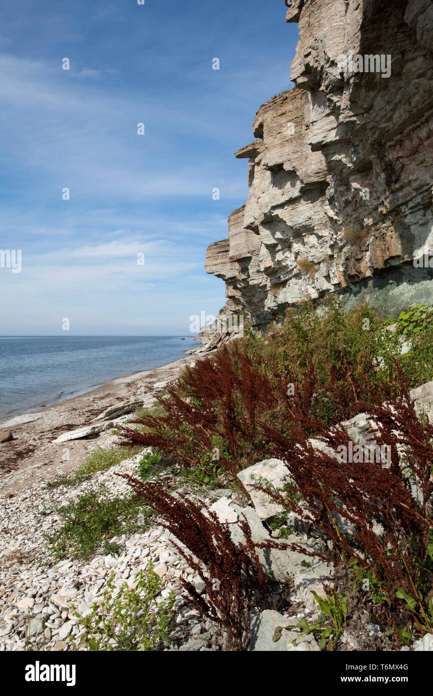 Pakri hi-res stock photography and images - Alamy