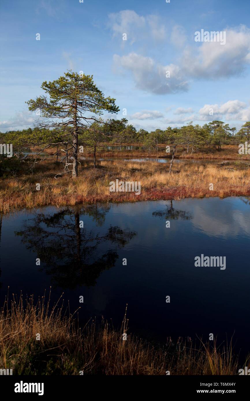 Seli hi-res stock photography and images - Alamy