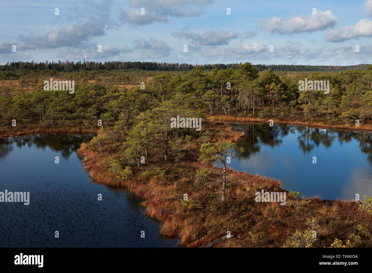 Seli hi-res stock photography and images - Alamy