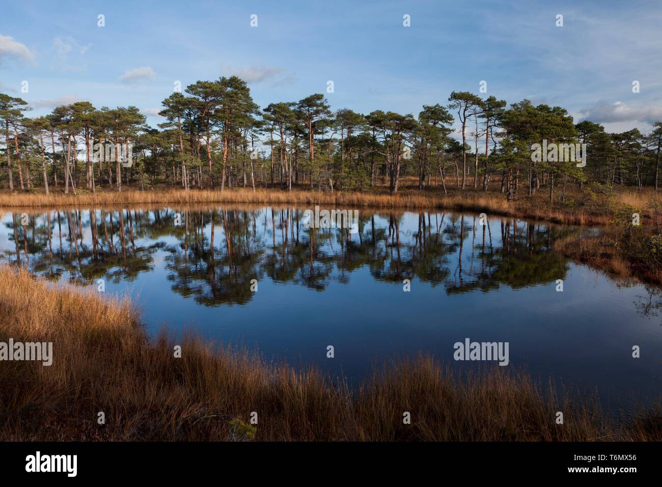 Seli lake hi-res stock photography and images - Alamy