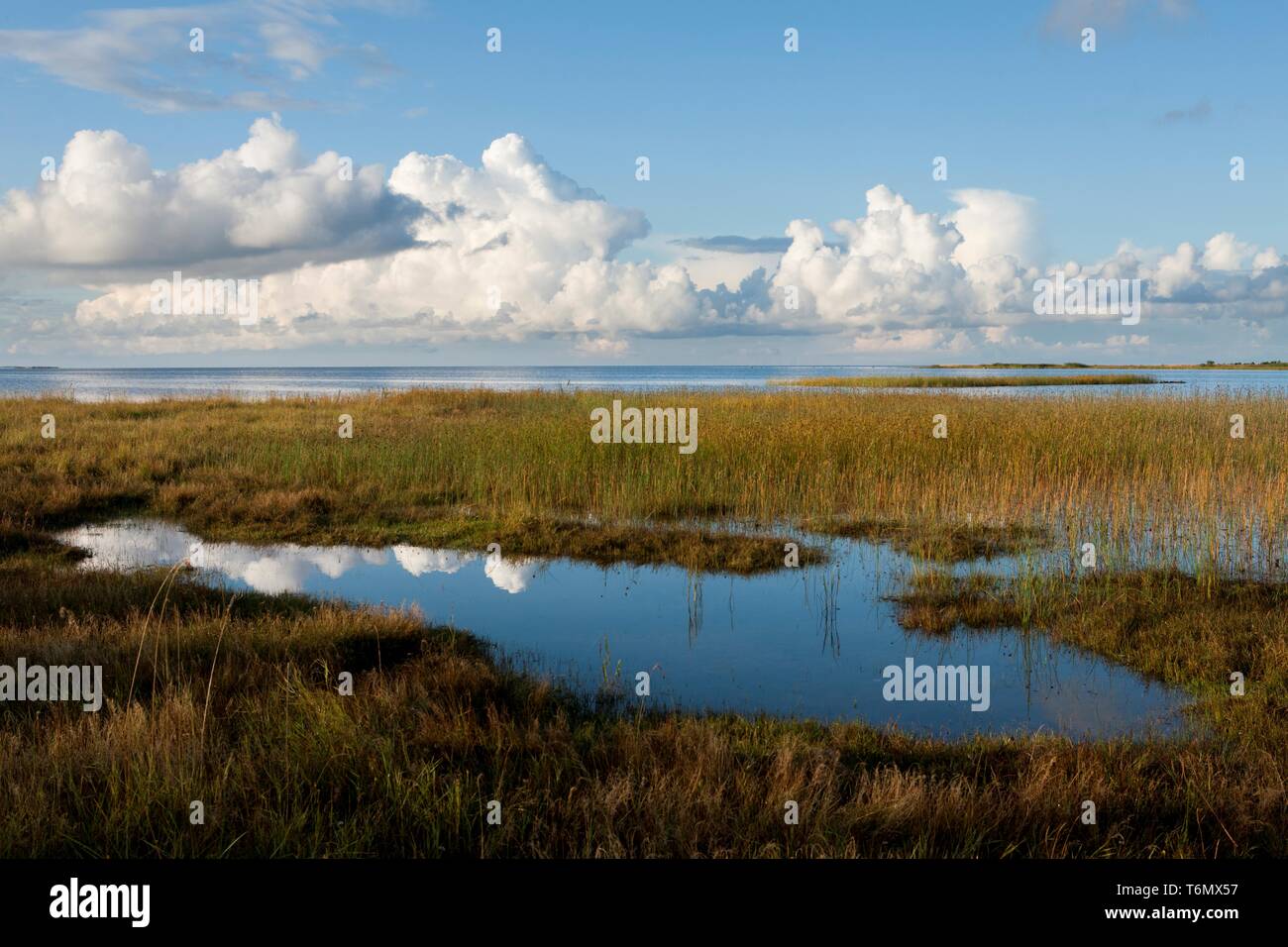 The coast of Vormsi Island Stock Photo - Alamy