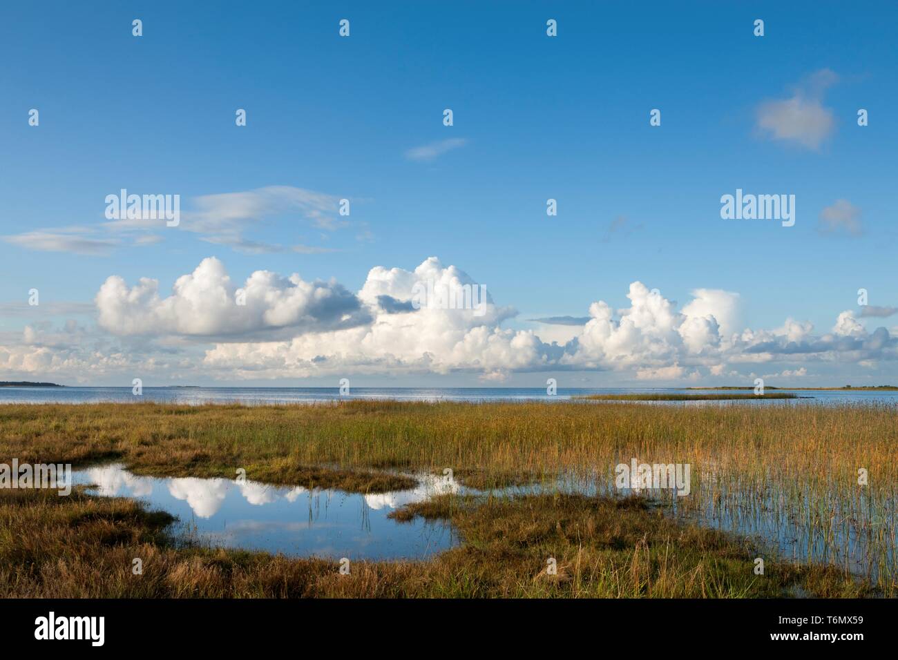Vormsi estonia hi-res stock photography and images - Alamy