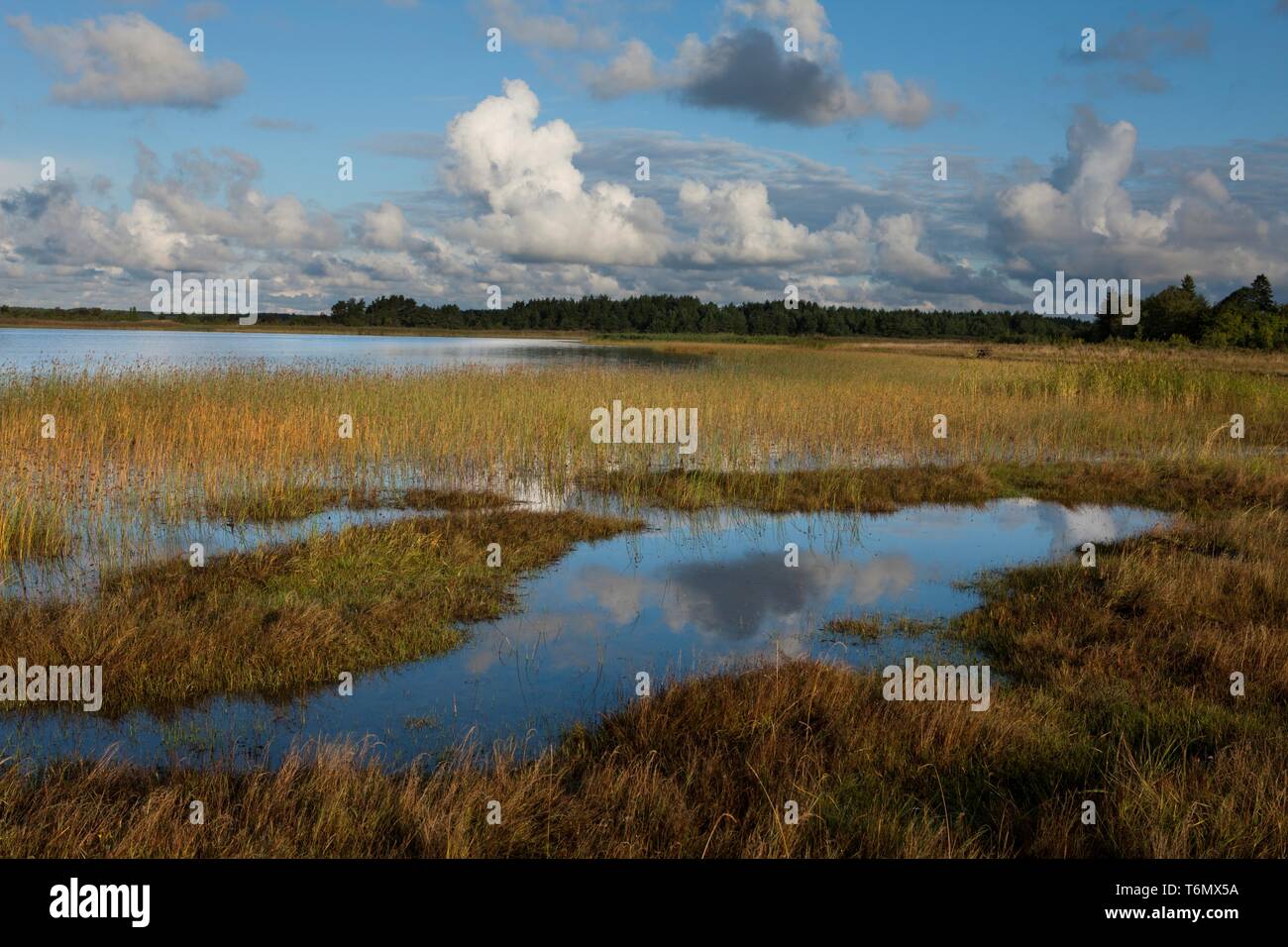 The coast of Vormsi Island Stock Photo - Alamy