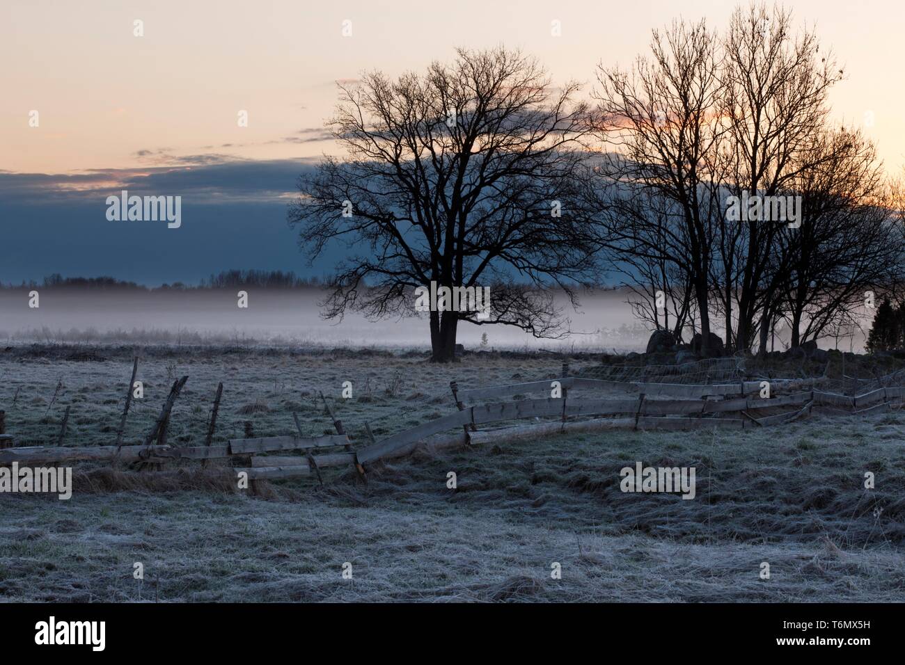 Frosty morning on the field in Noarootsi, Western Estonia Stock Photo ...