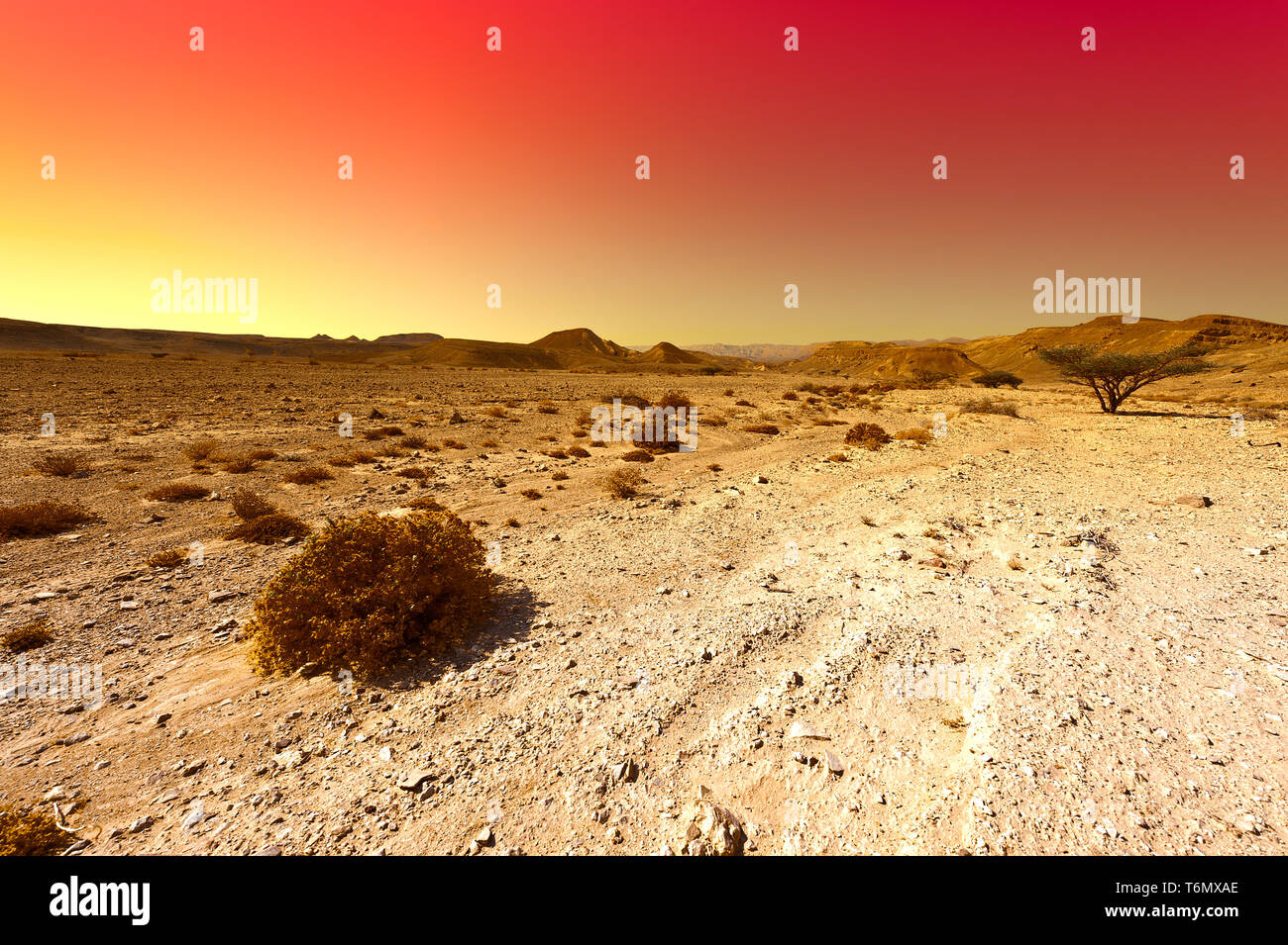 Middle east sunset hi-res stock photography and images - Alamy